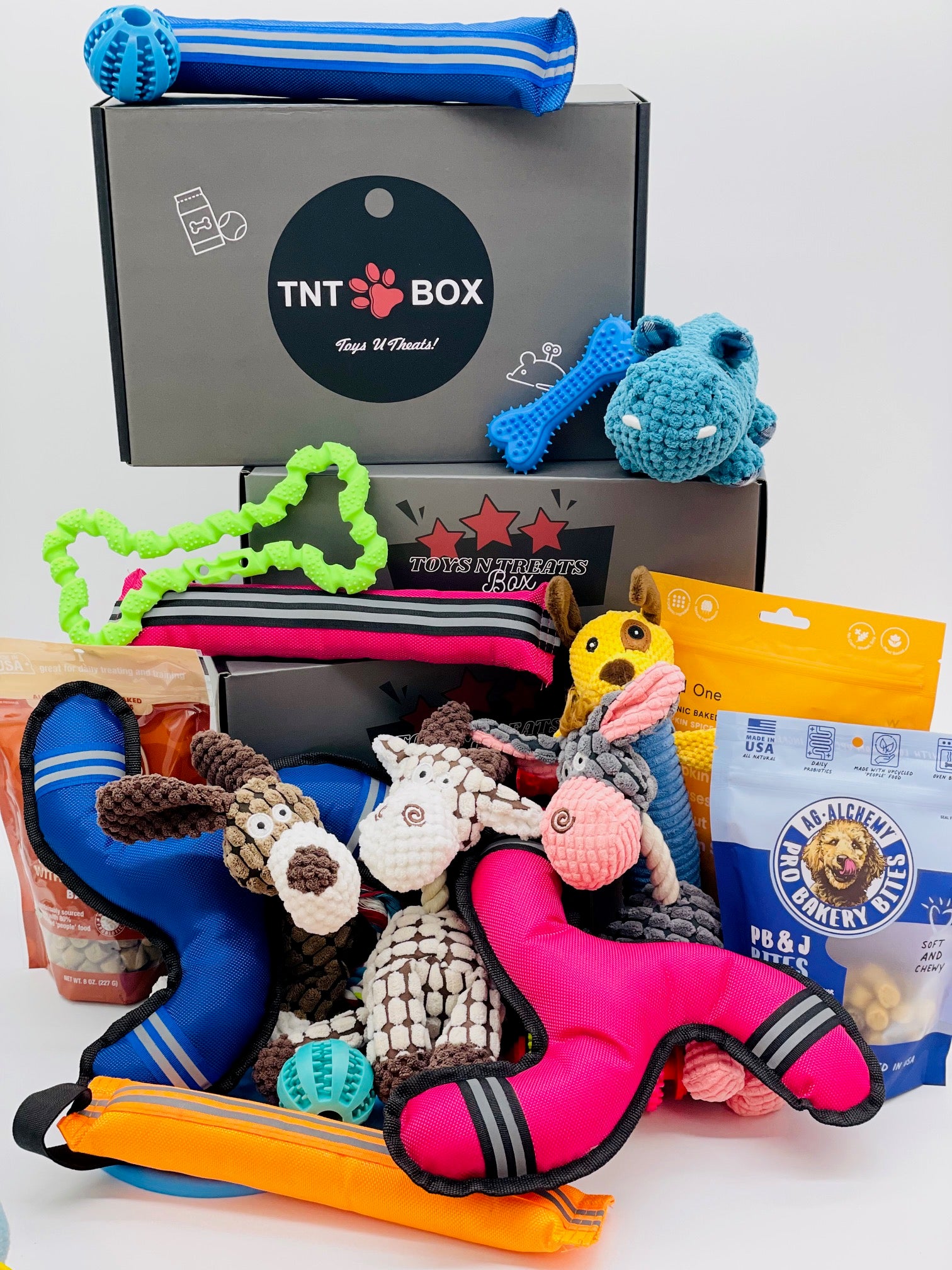 Pet Gift Boxes | Toy & Treat Gift Boxes for Dogs & Cats – Toys N Treats Box